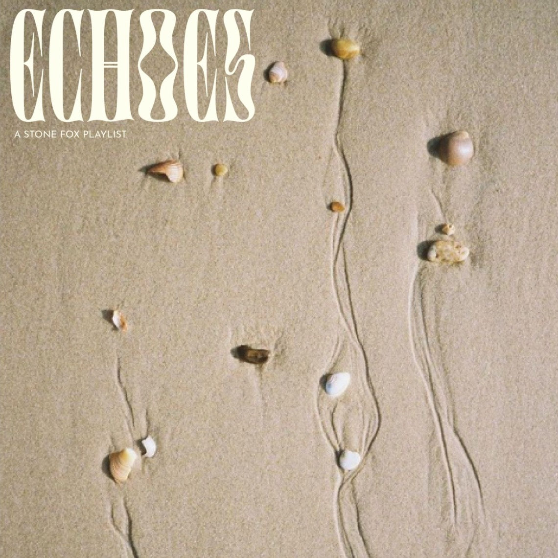 echoes – STONE FOX SWIM