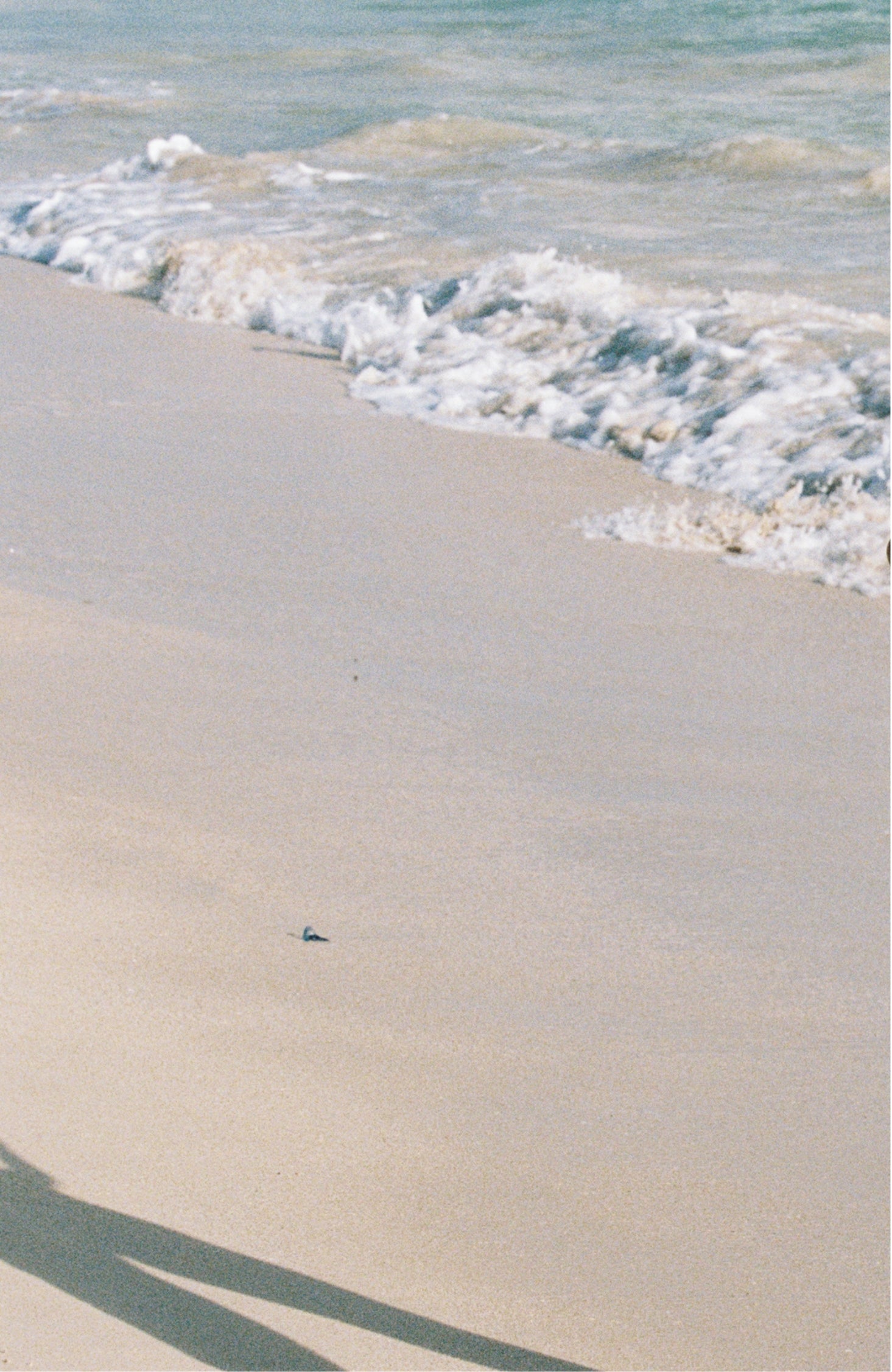 Stone Fox Swim: Sustainable Swimwear | We Wander. We See. – STONE FOX SWIM